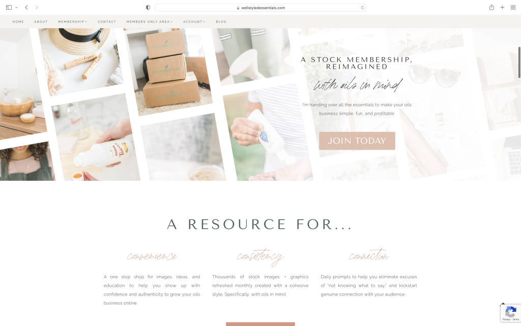 Sharing Essentials Vault — 2026 Access - Well Styled Essentials